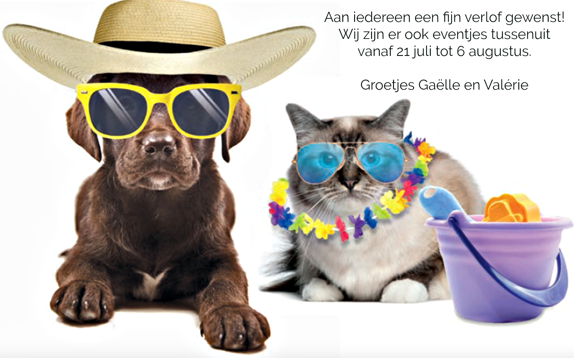 Jaarlijks verlof van 21 juli tot 6 augustus 2018 | Dierenarts Gaëlle De ...